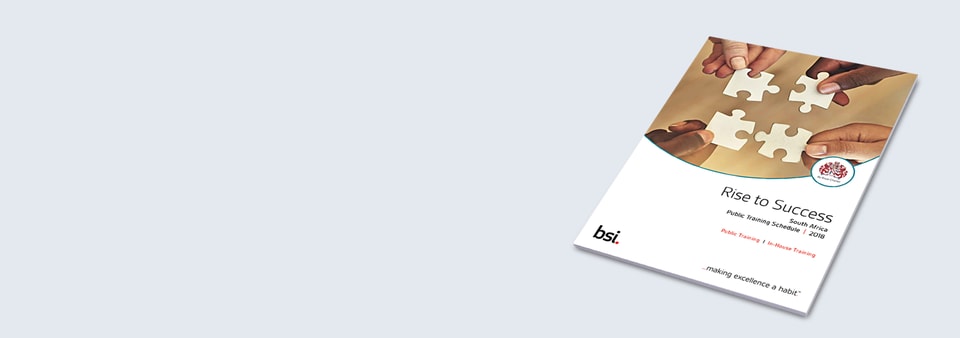 Standards, Training, Testing, Assessment and Certification | BSI Group ...