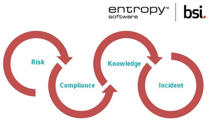 Entropy™ Software | BSI Group