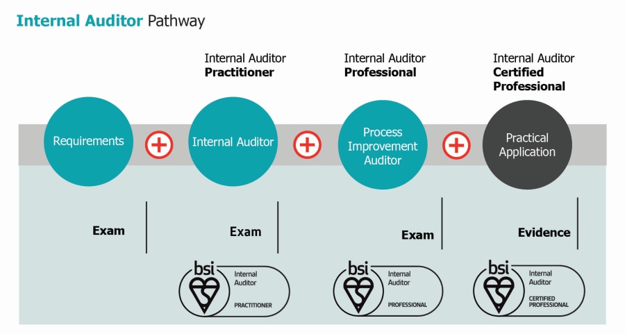 Professional auditing with a BSI qualification | BSI America